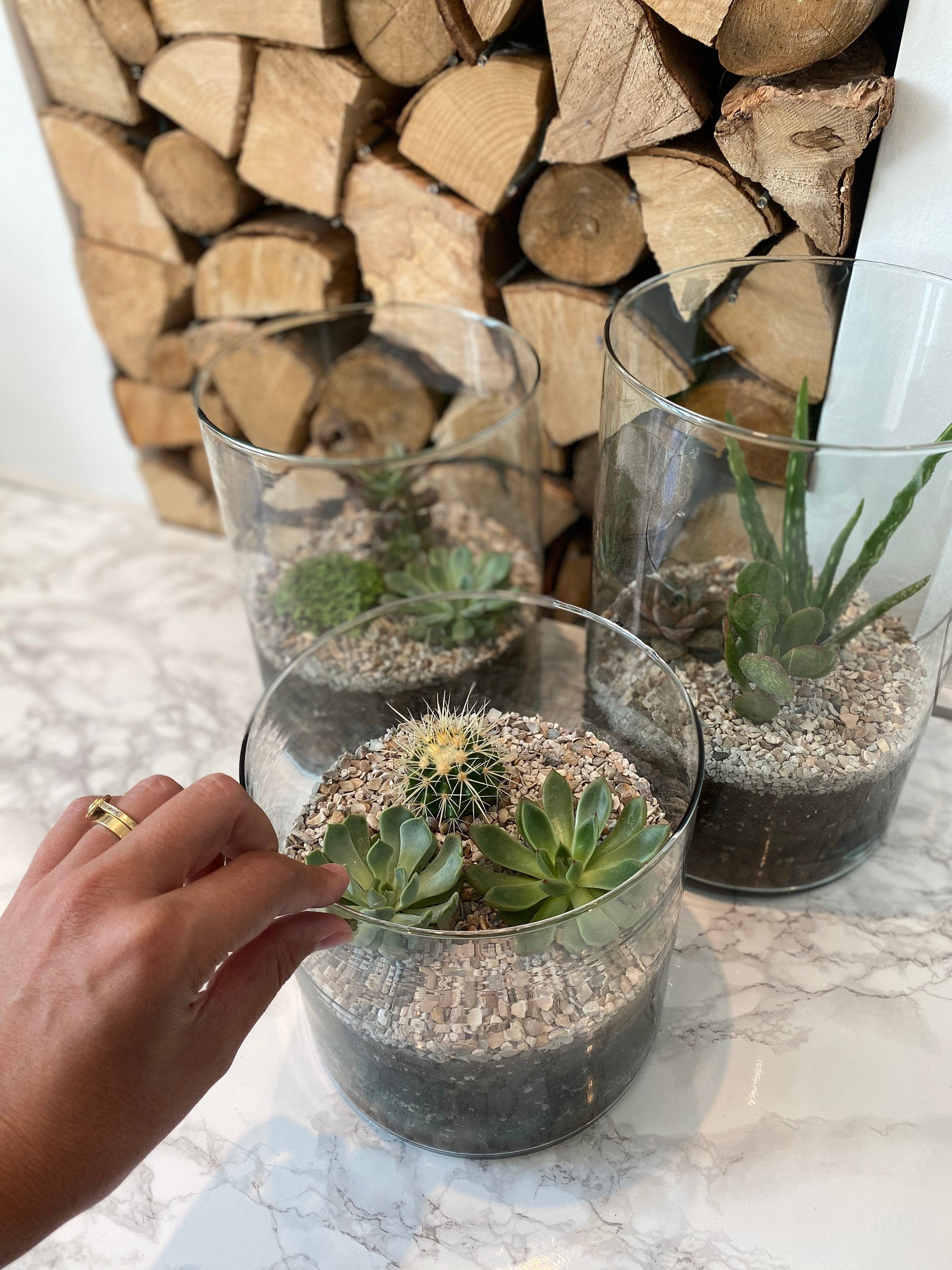 Small Tank Terrarium Kit Container Plus Terrarium Kit - Etsy UK