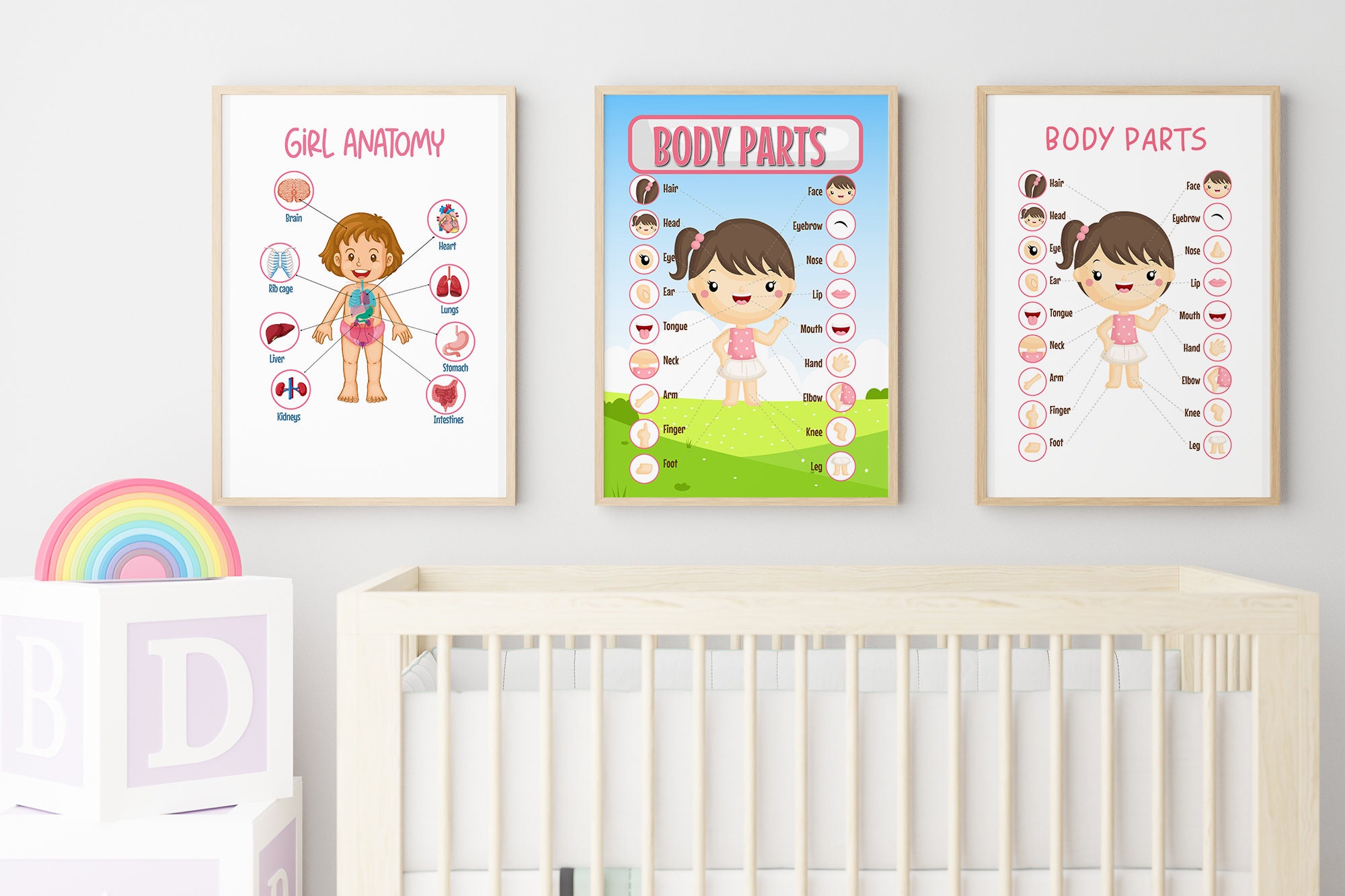 Girl Body Parts, Anatomy, Set of 3 Educational Posters, Printable Wall ...