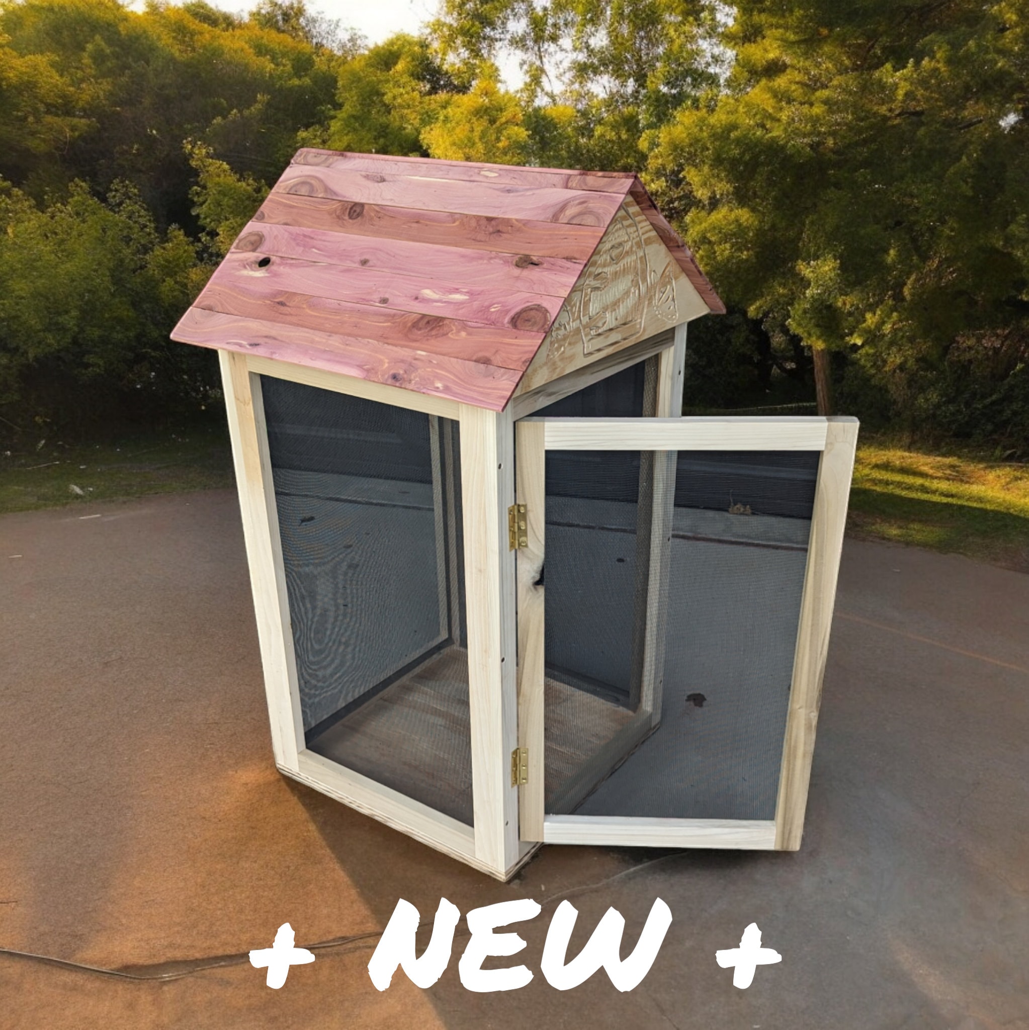 Monarch Butterfly Habitat Enclosure (wood Frame Approx. 16"x16"x22") - Etsy