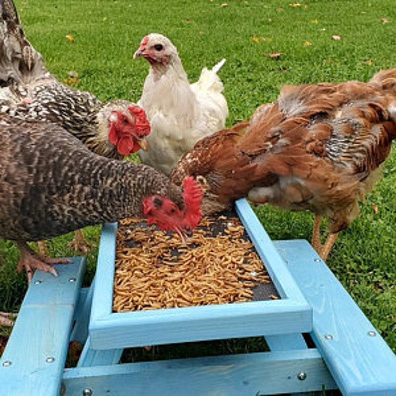 Chicknic Table - Chicken Picnic Table - Etsy