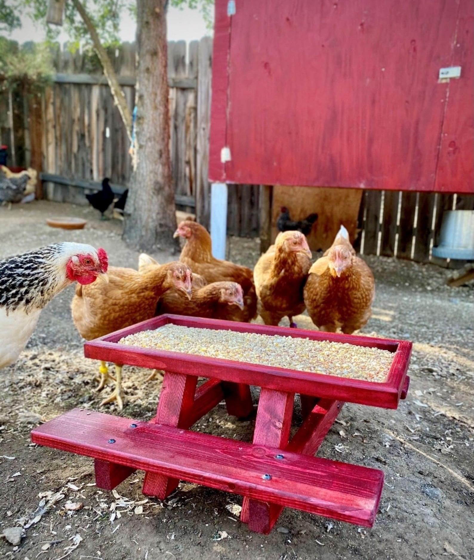 Chicknic Table - Chicken Picnic Table - Etsy