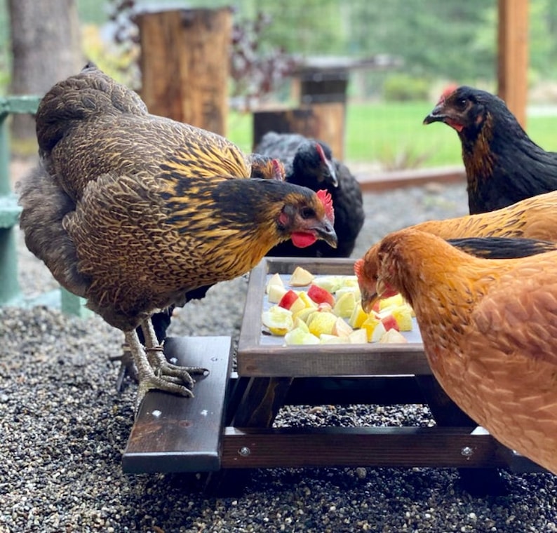 Chicknic Table - Chicken Picnic Table - Etsy