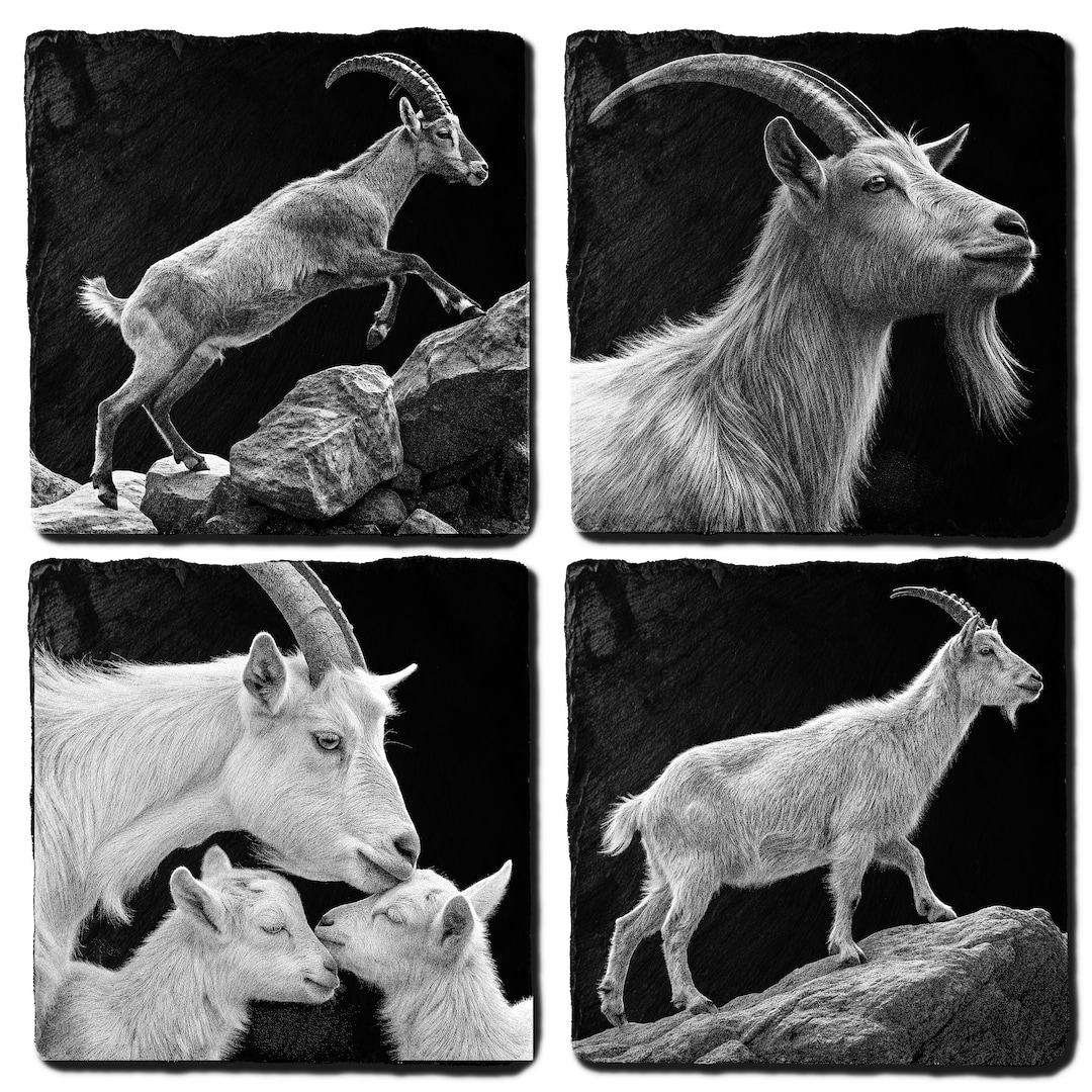 Wise Goat PNG Bundle of 4 Files: Laser Engraving Designs for Mountain ...