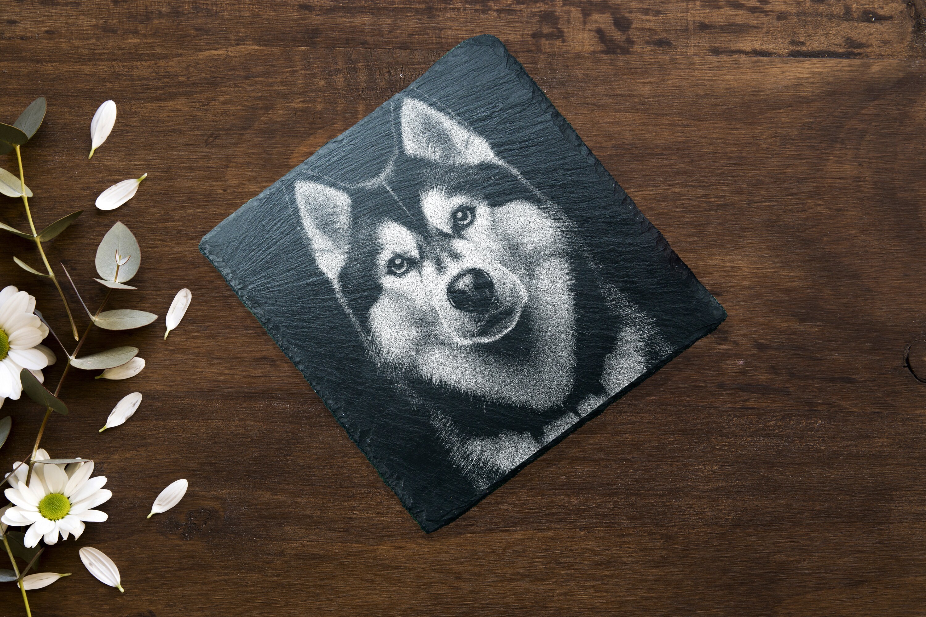 4 Siberian Husky Pack Pnglaser Engraving Fileslate Coasterdog ...