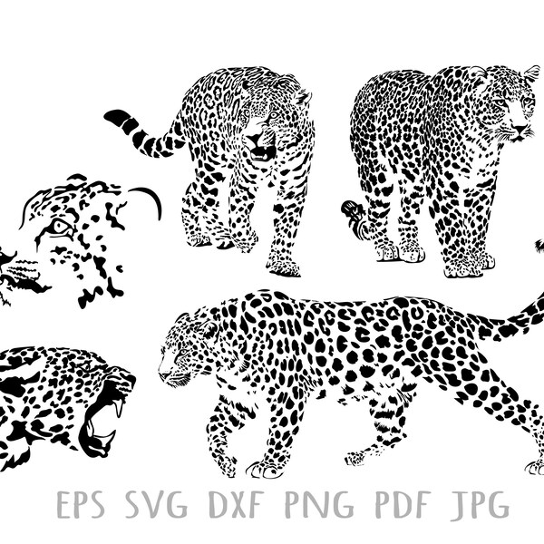 Leopard Svg - Etsy