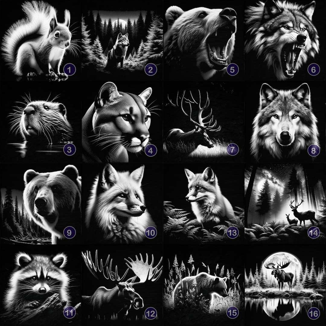 16 Forest Animals Pack | Laser Files Bundle | Laser Burn PNG | Slate ...