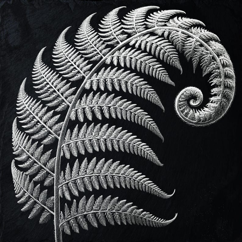Set of 4 Botanical Engravings PNG Files for CNC DIY and Laser Engraving ...