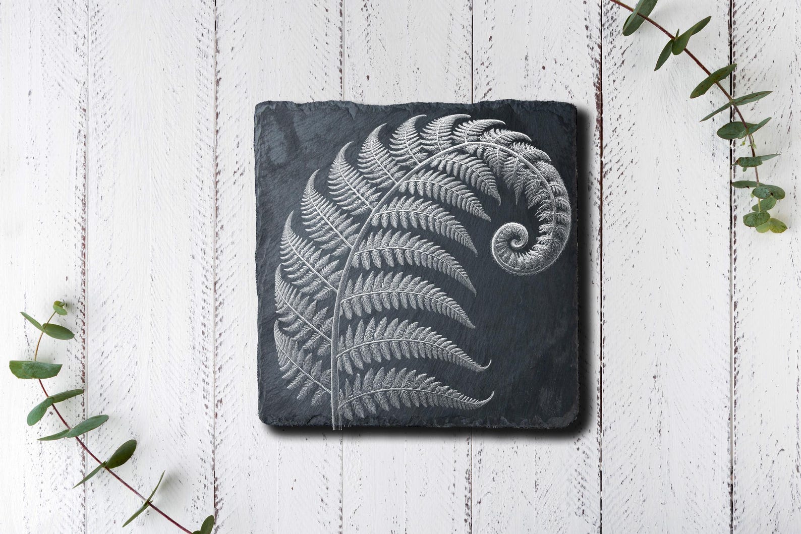 Set of 4 Botanical Engravings PNG Files for CNC DIY and Laser Engraving ...