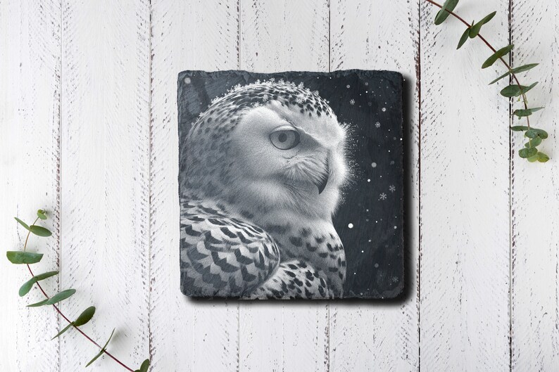 4 Slate Bundle Snowy Owl, Laser Ready PNG Files for Engraving, Slate ...