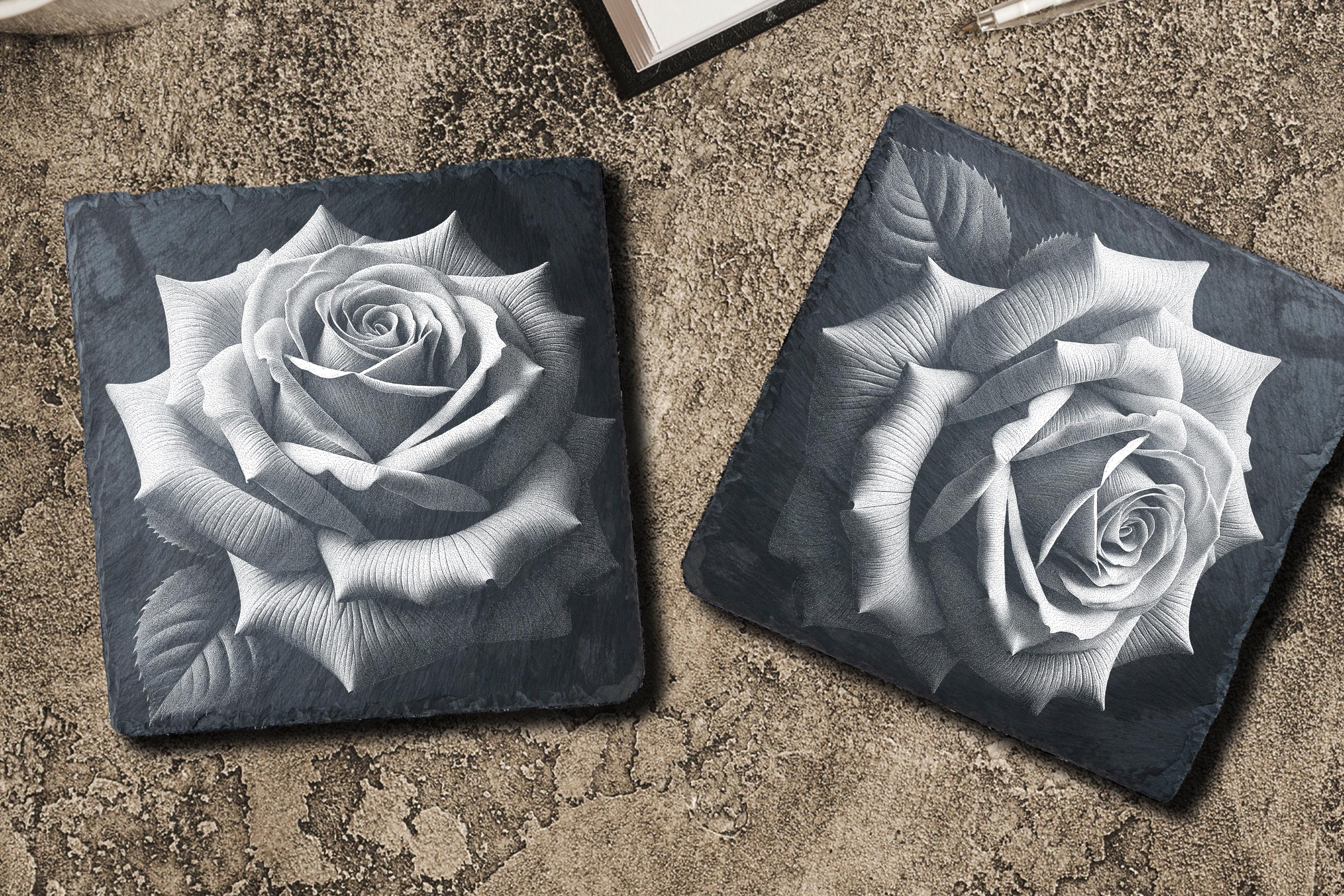 Set of 4 Botanical Engravings PNG Files for CNC DIY and Laser Engraving ...