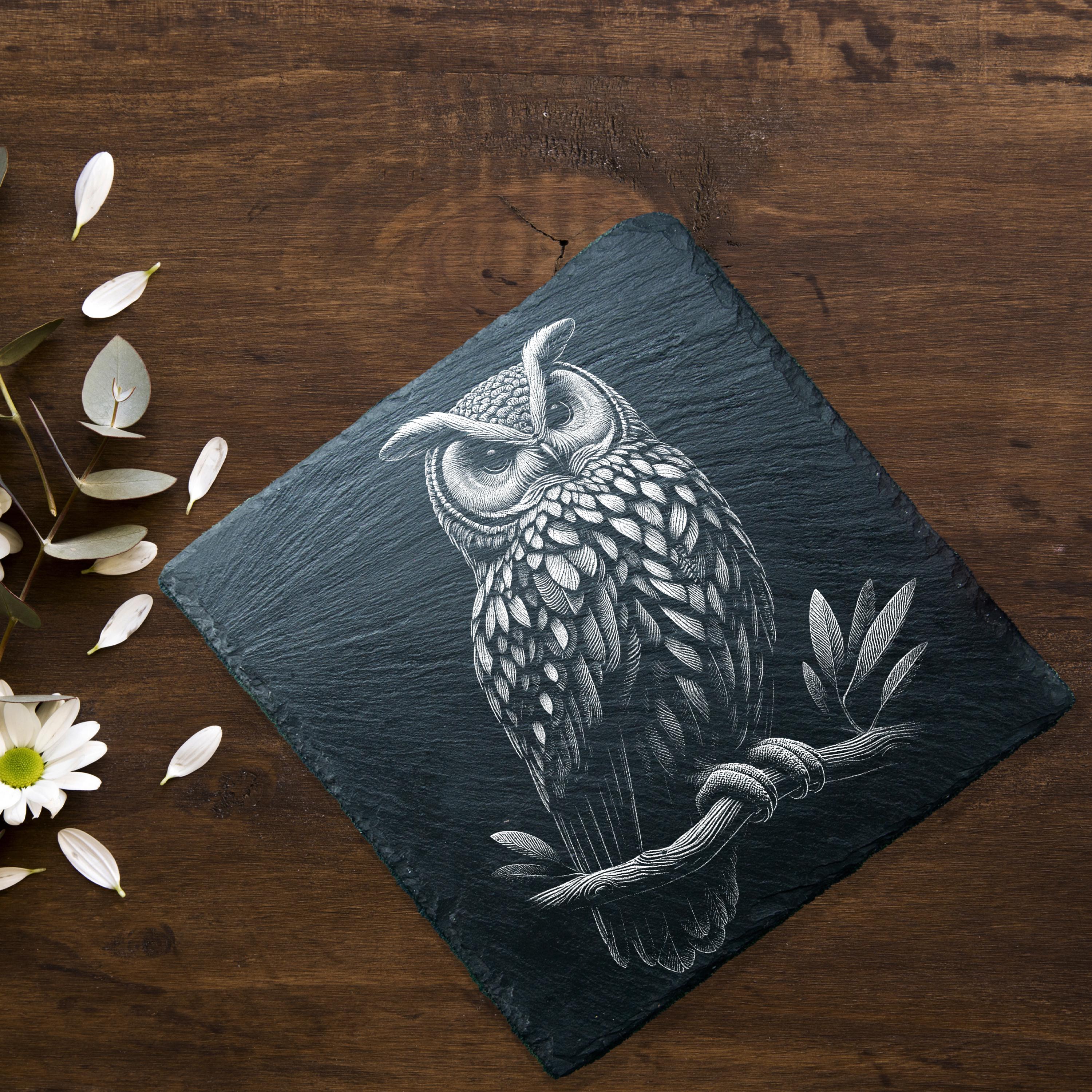 Set of 4 Realistic Owl 3D PNG Files for Laser Engraving - Etsy
