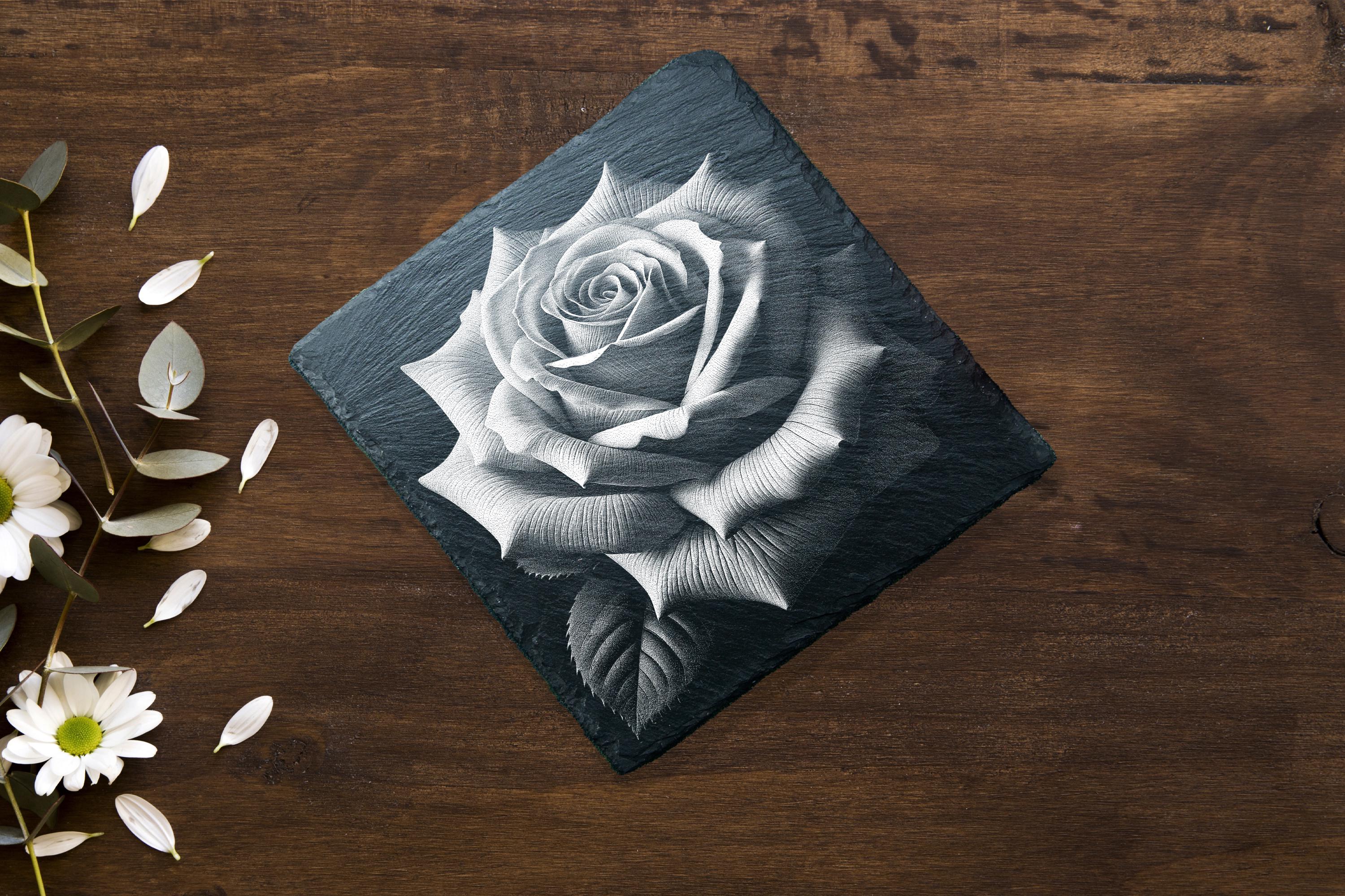 Set of 4 Botanical Engravings PNG Files for CNC DIY and Laser Engraving ...