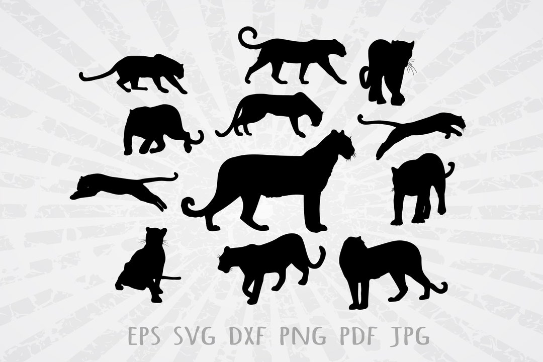 Leopard Svg Animal Svg Files for Cricut Wild Dxf Cut File - Etsy