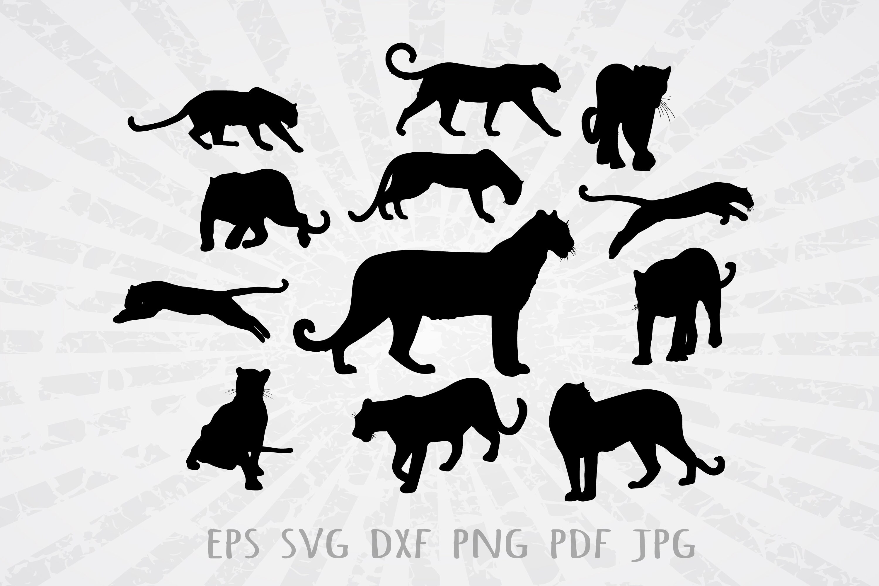 Leopard Svg Animal Svg Files for Cricut Wild Dxf Cut File - Etsy Australia