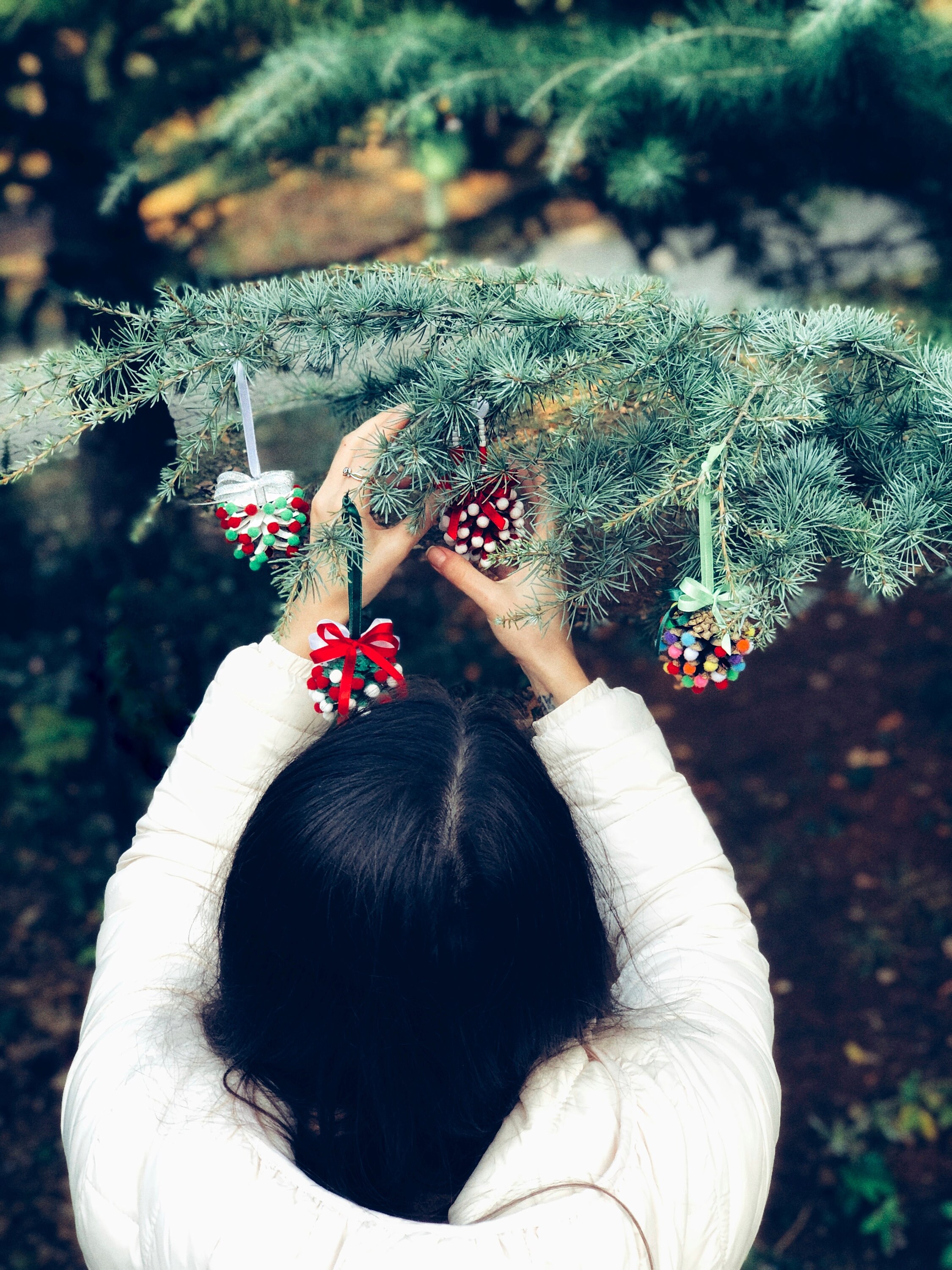 Christmas Globes skittles 8 Pcs Pinecones and Ribbons Colorful ...