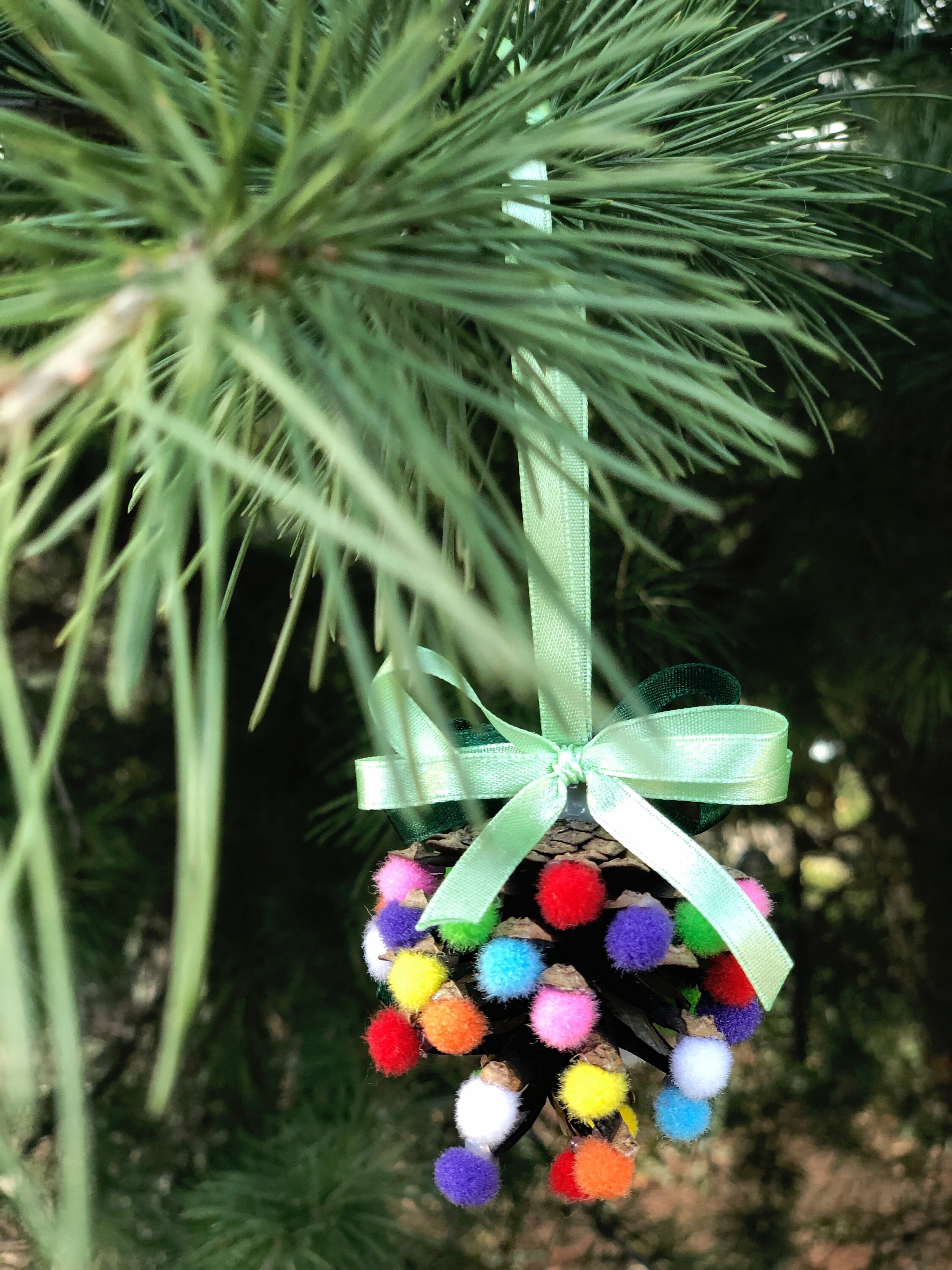 Christmas Globes skittles 8 Pcs Pinecones and Ribbons Colorful ...