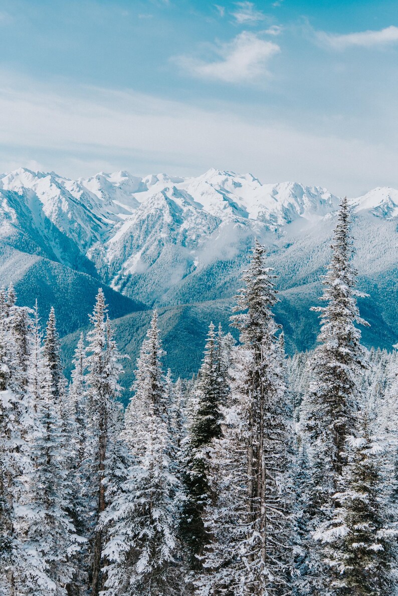 Olympics National Park Digital Photo File - Etsy