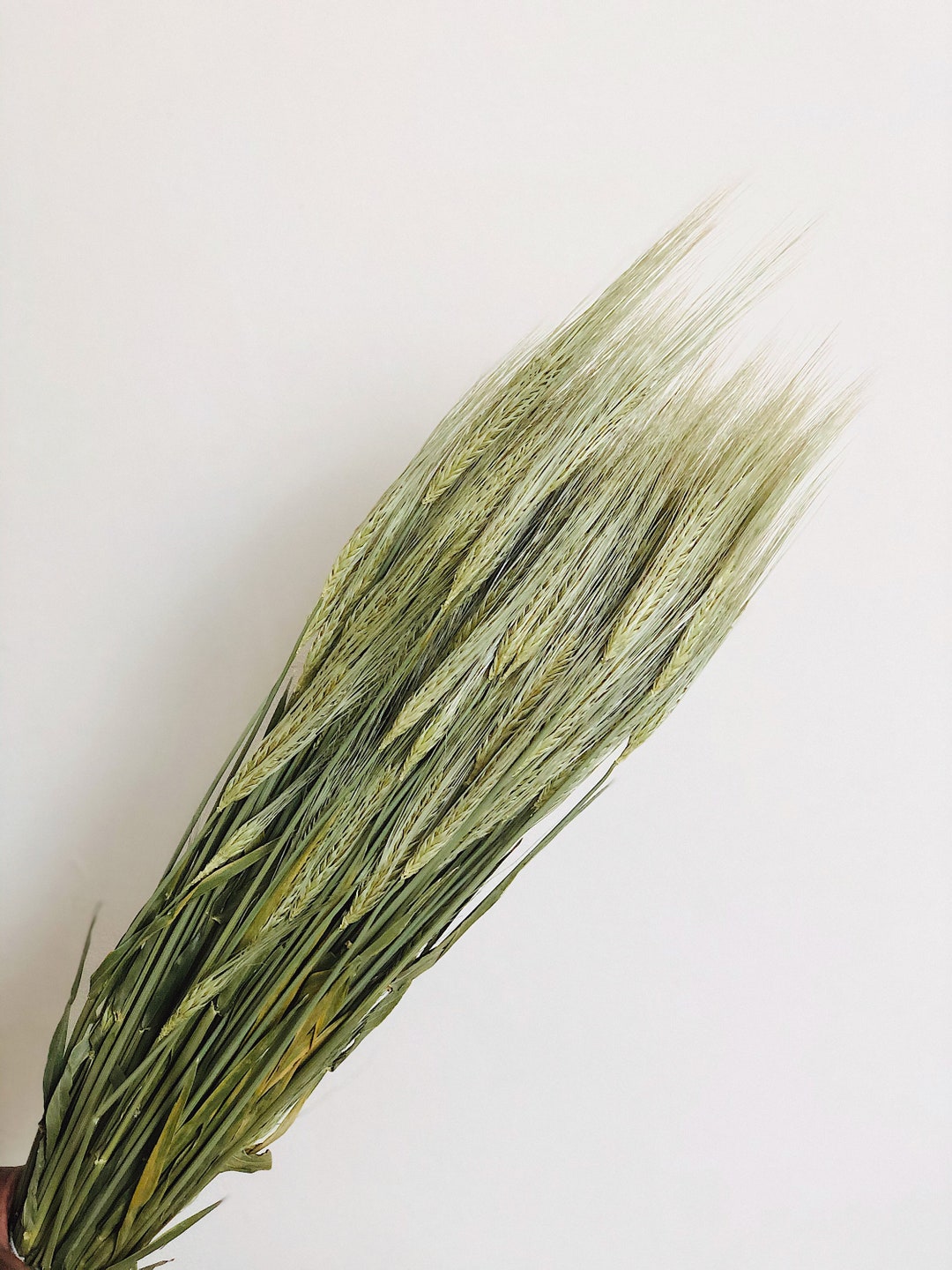 Dried Rye Grass Dried Flowers Dried Floral Arrangement Bouquet - Etsy