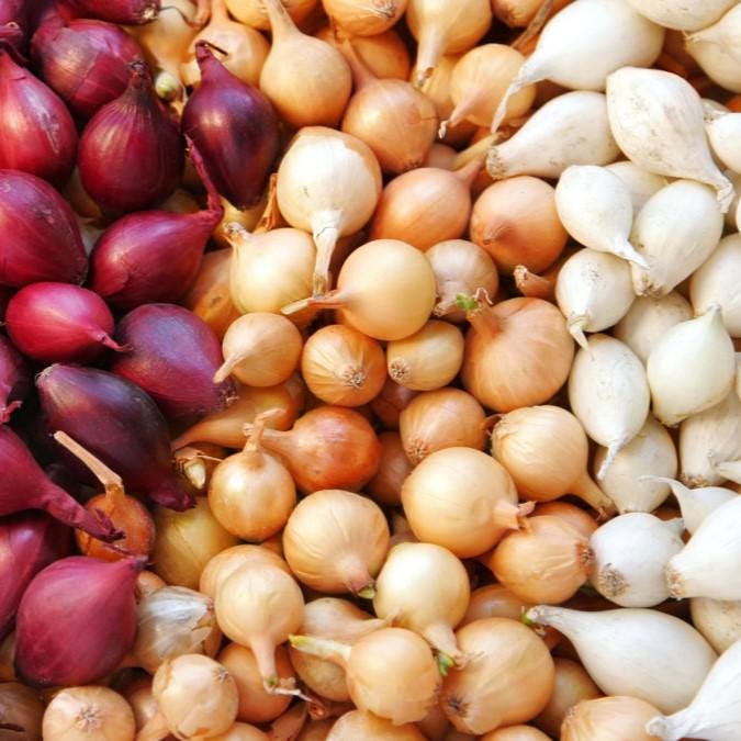 3 Colors Mix Onion Sets for Planting - Starter Bulbs for Growing Home ...