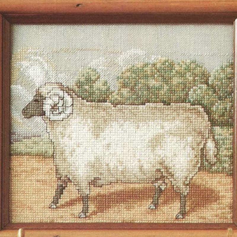 Sheep Cross Stitch - Etsy
