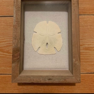 Sand Dollar Frame - Etsy