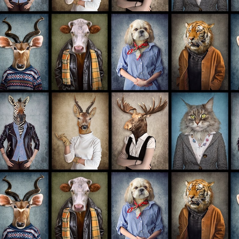 Funky Upholstery Fabric - Etsy