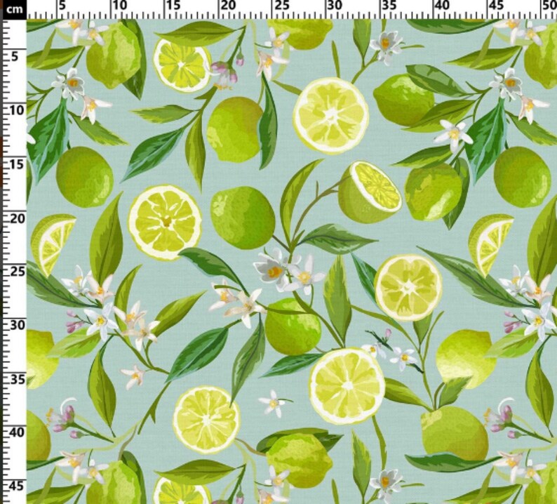 Green Lemon Upholstery Fabric by the Meter Fruit Home Decor - Etsy