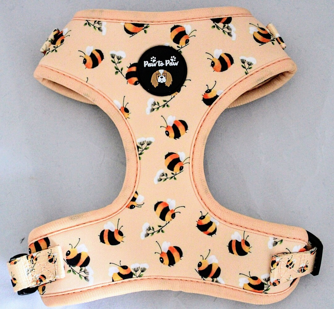 Cat Bumble Bee Harness-x Small,small, Medium - Cat Walkie- Adjustable ...