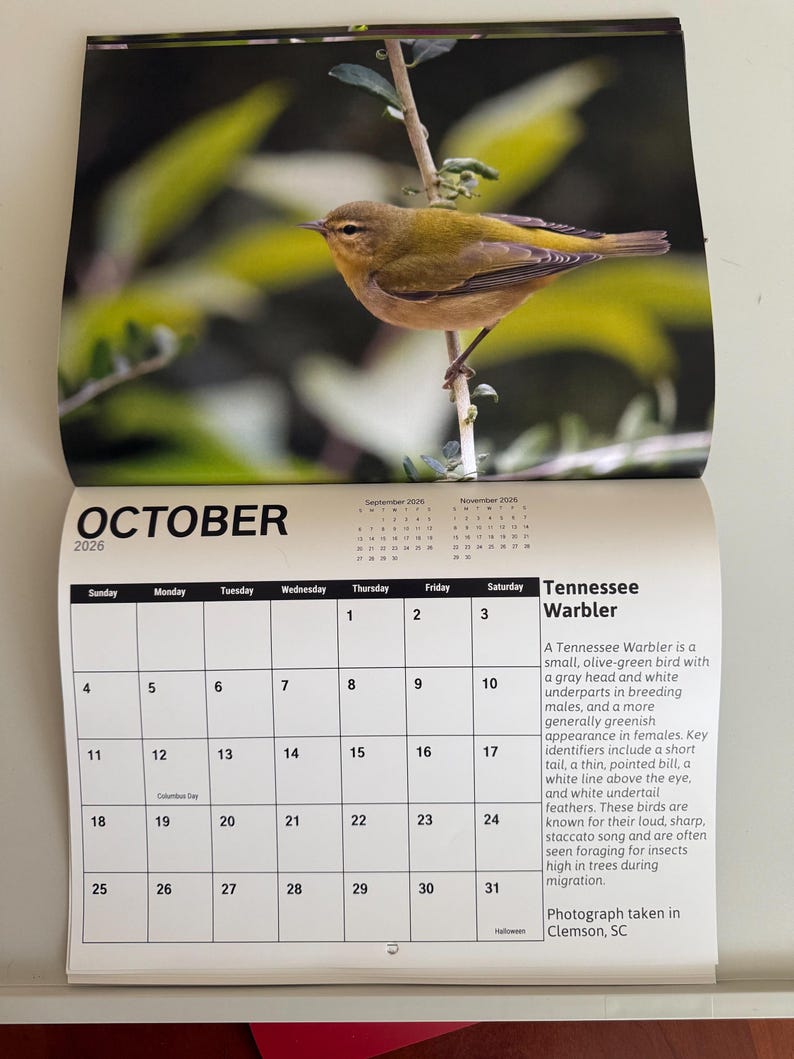 2026 Birds of a Feather Wild Bird Calendar Photography by Susan Stamey ...