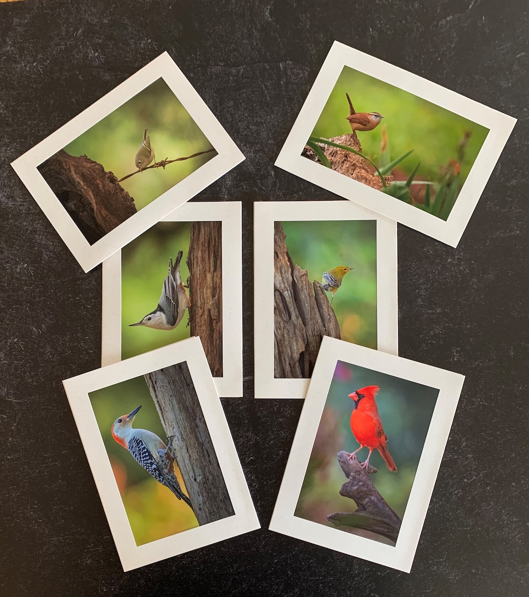 Original Photo Note Cards Backyard Birds, Set of 6 With Envelopes ...