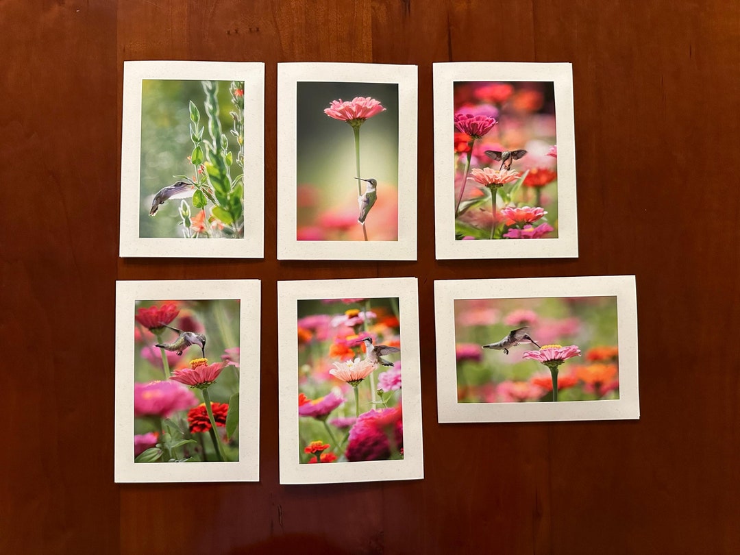 Original Photo Note Cards Hummingbirds, Set of 6 With Envelopes, Blank ...