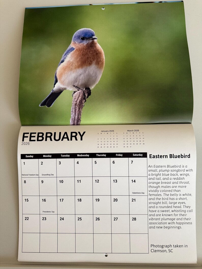 2026 Birds of a Feather Wild Bird Calendar Photography by Susan Stamey ...