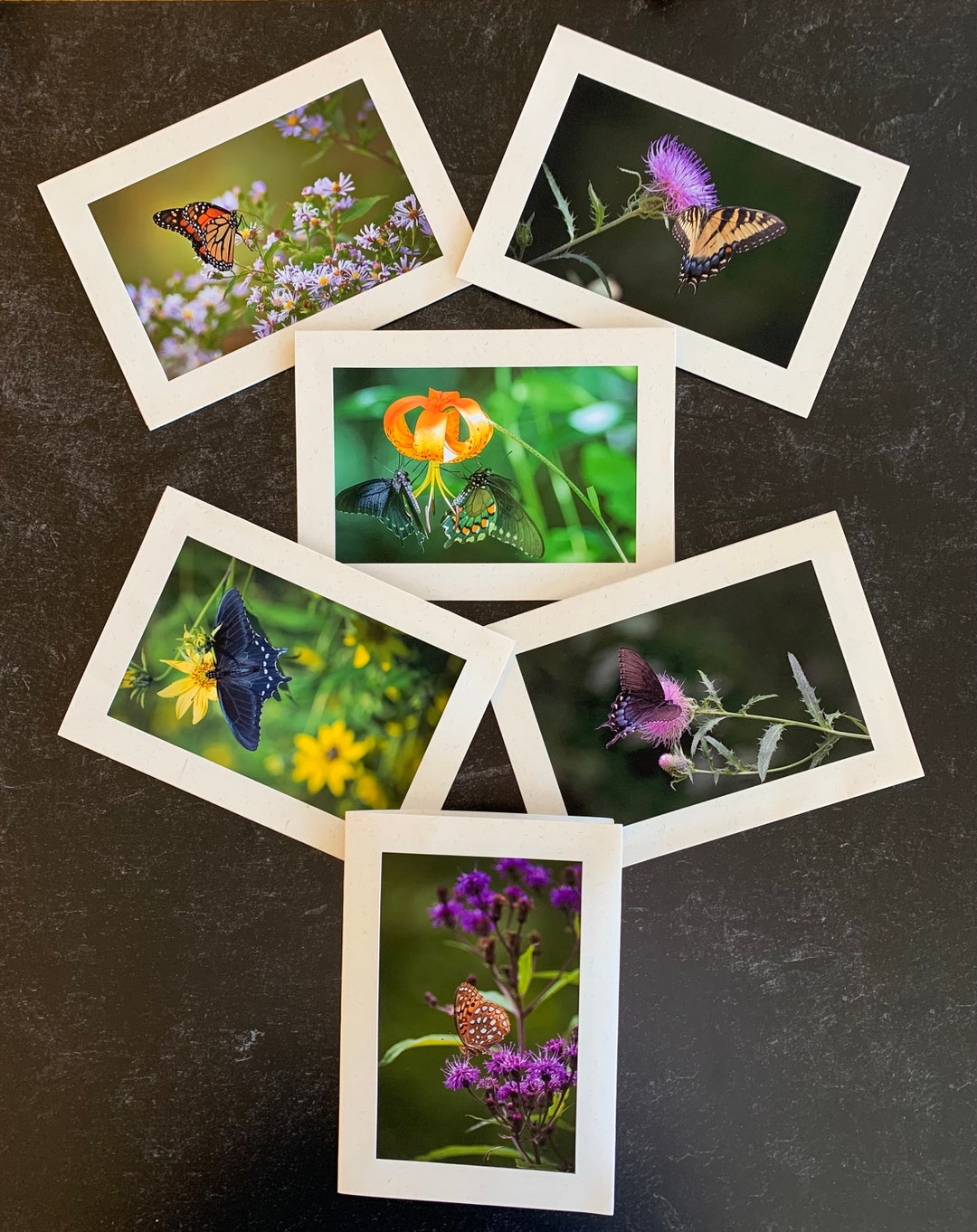 Original Photo Note Cards Butterflies, Set of 6 With Envelopes, Blank ...