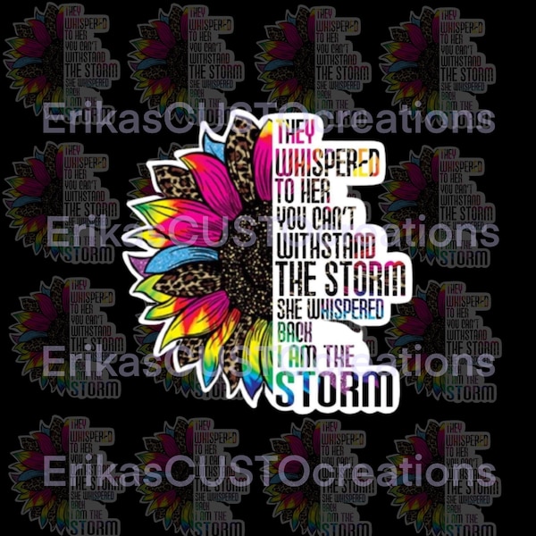 I Am the Storm Stickers - Etsy