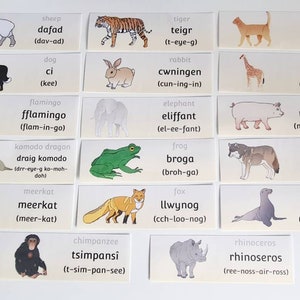 Welsh Animal Flashcards Welsh Resource Learning Resources - Etsy