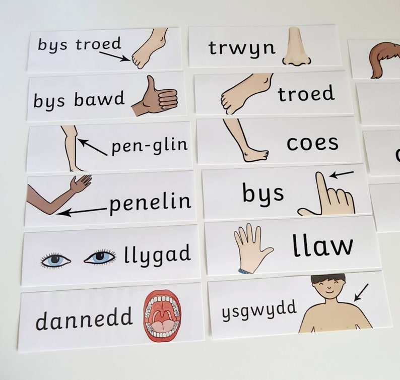 Welsh Parts of the Body Flashcards, Welsh Resource, Learning Resources ...