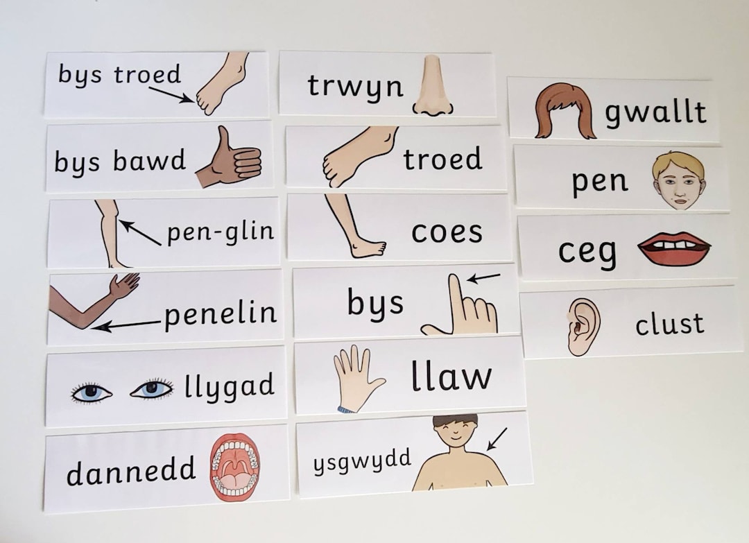 Welsh Parts of the Body Flashcards, Welsh Resource, Learning Resources ...