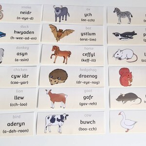 Welsh Animal Flashcards Welsh Resource Learning Resources - Etsy