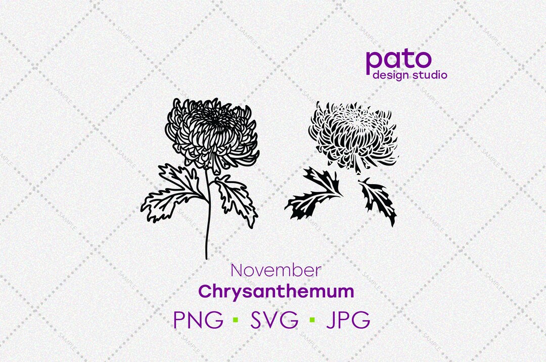 November Chrysanthemum Birth Month Flower SVG, Birthday Flower Svg ...