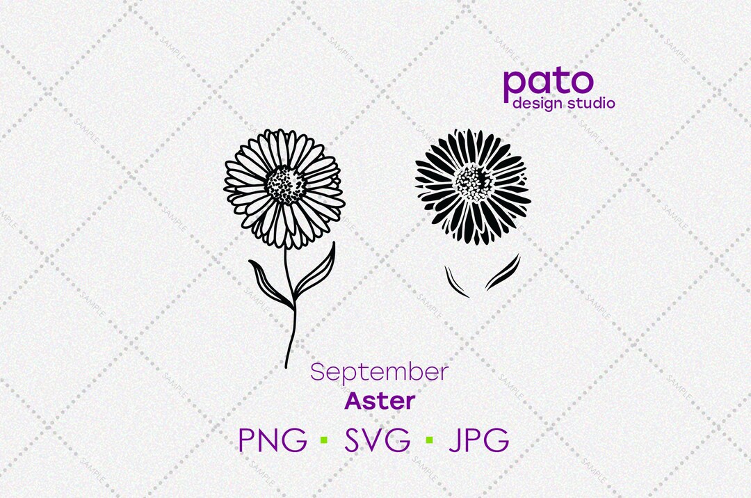 September Aster Birth Month Flower SVG, Birthday Flower Svg, Floral Svg ...