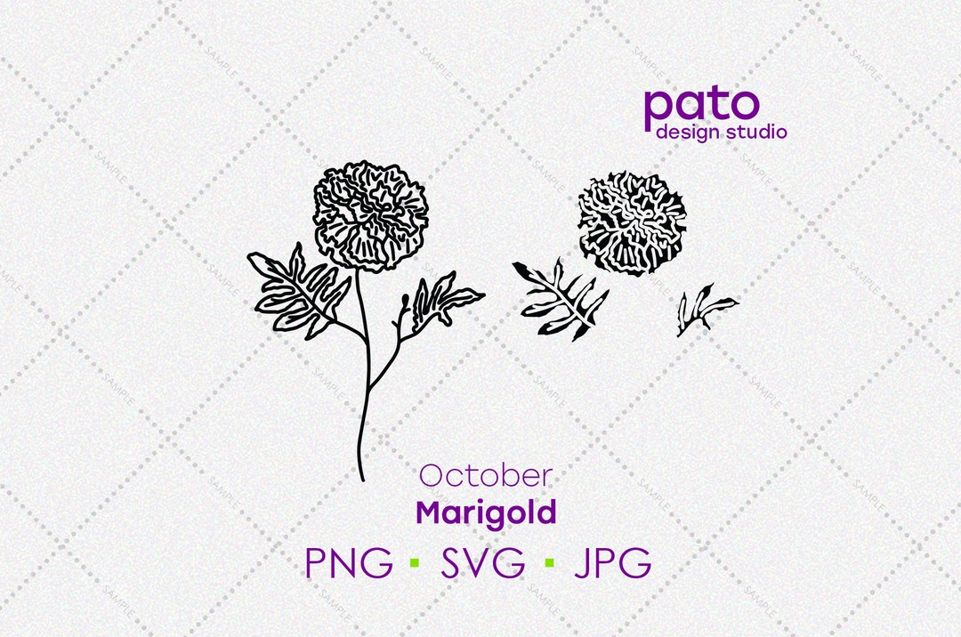 October Marigold Birth Month Flower SVG, Birthday Flower Svg, Floral ...