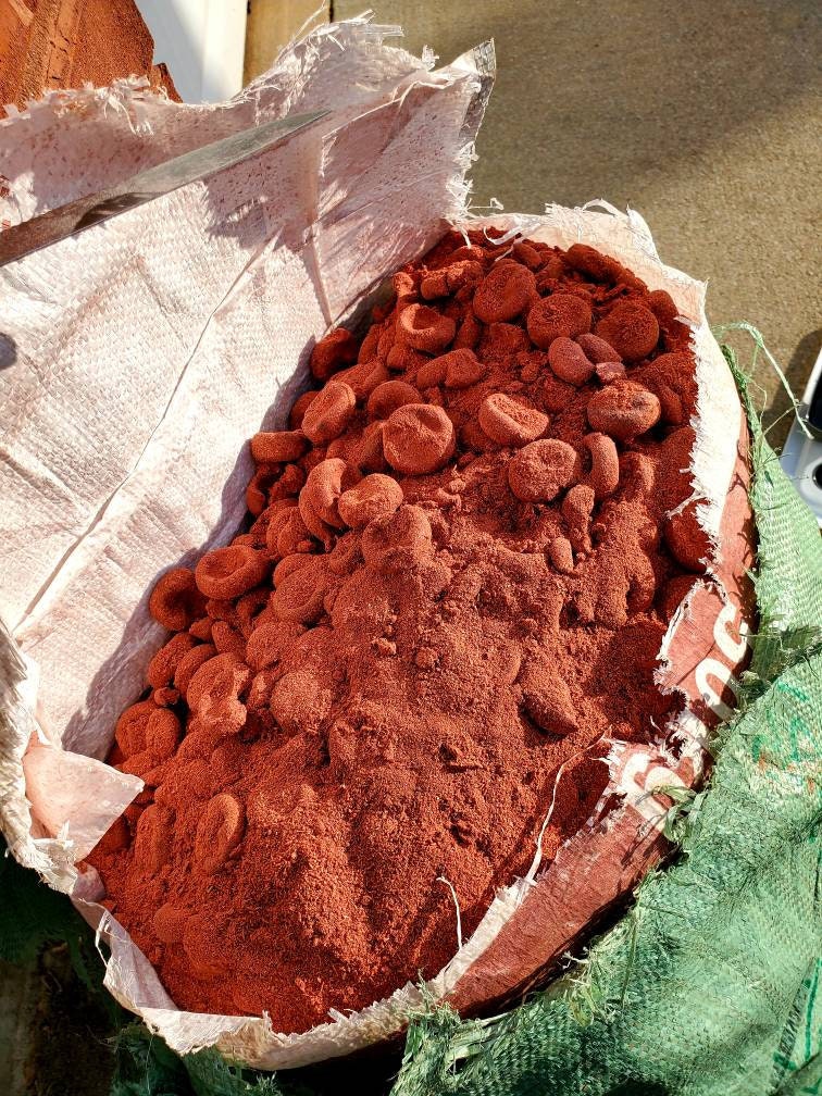 Organic Camwood Powder African Sandalwood for Skincare Crafts Pure ...