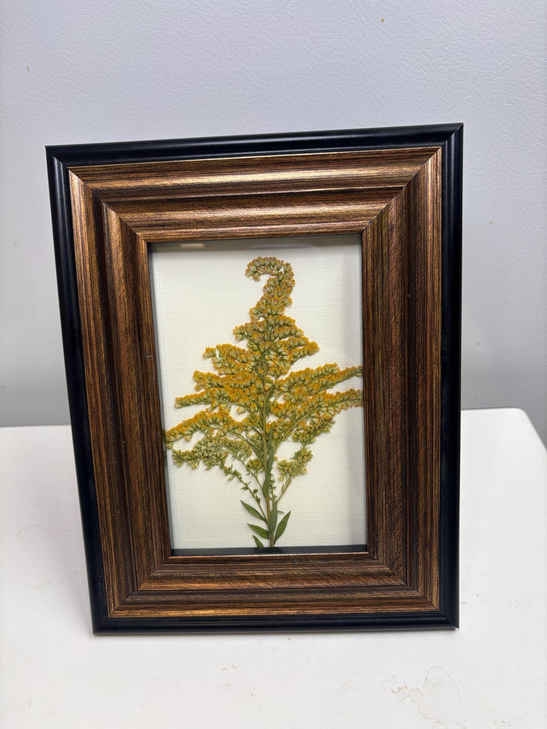 Pressed Goldenrod Flowers in Frame - Etsy
