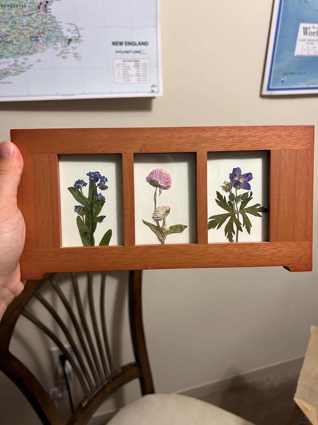 Pressed Flowers in a 3 Panel Frame, Straw Flower, Geranium, Forget-me ...