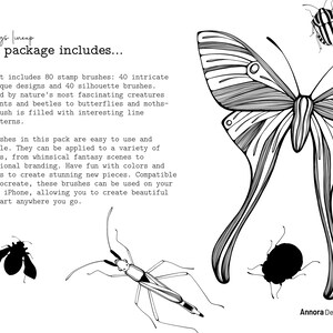 Lineart Insects Pack 1 Procreate Brushes Digital Stamp Brush Set ...