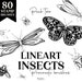 Lineart Insects - Pack 2 - Procreate Brushes - Digital Stamp Brush Set ...