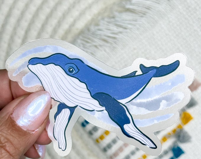 Humpback Whale Sticker, Illustrated Whale, Marine Life Sticker for ...