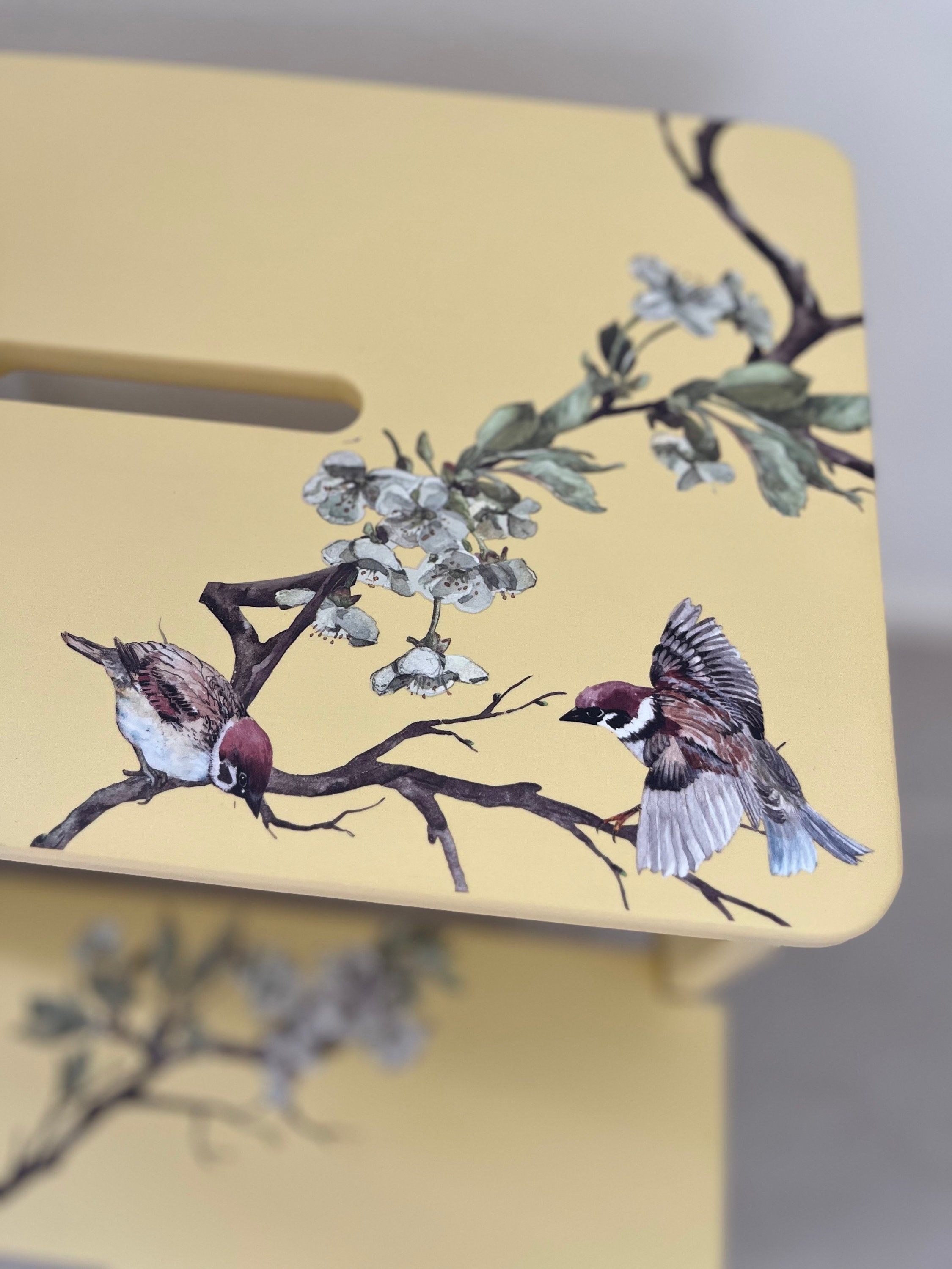 Buttermilk Cream Step Stool with Birds — Ballerina with a Paintbrush