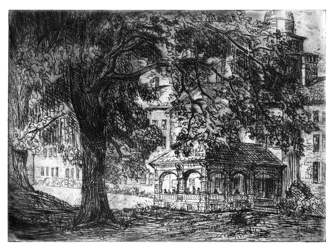 Old Hackberry Tree (200 Years Old) Westtown School 1931. Sarah W ...