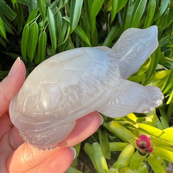 Crystal Turtle - Etsy